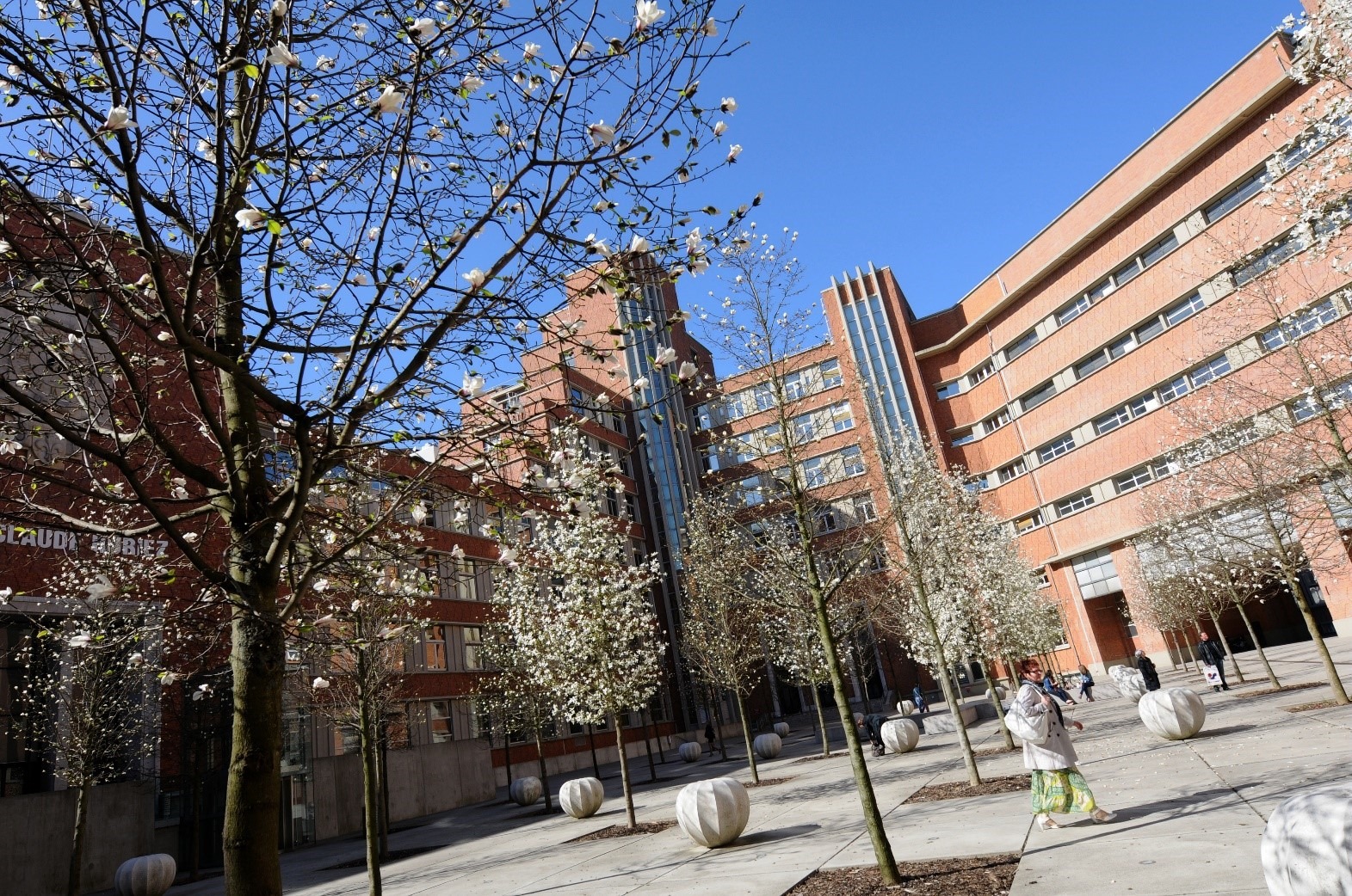 Une nouvelle vie pour le service d'Oncologie